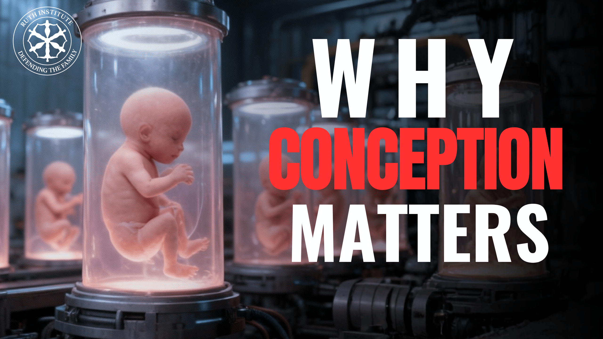 IVF and Human Dignity: A Clear, Compassionate Analysis